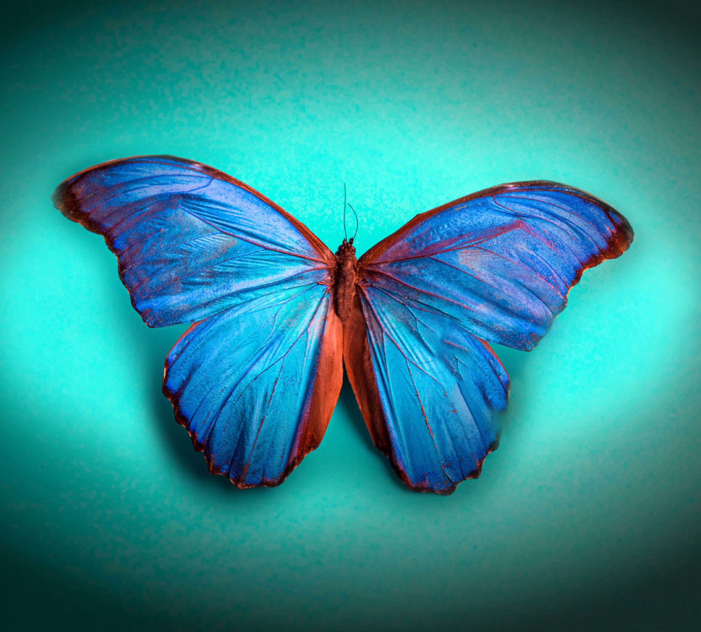 Branding – Activate Digital Agency