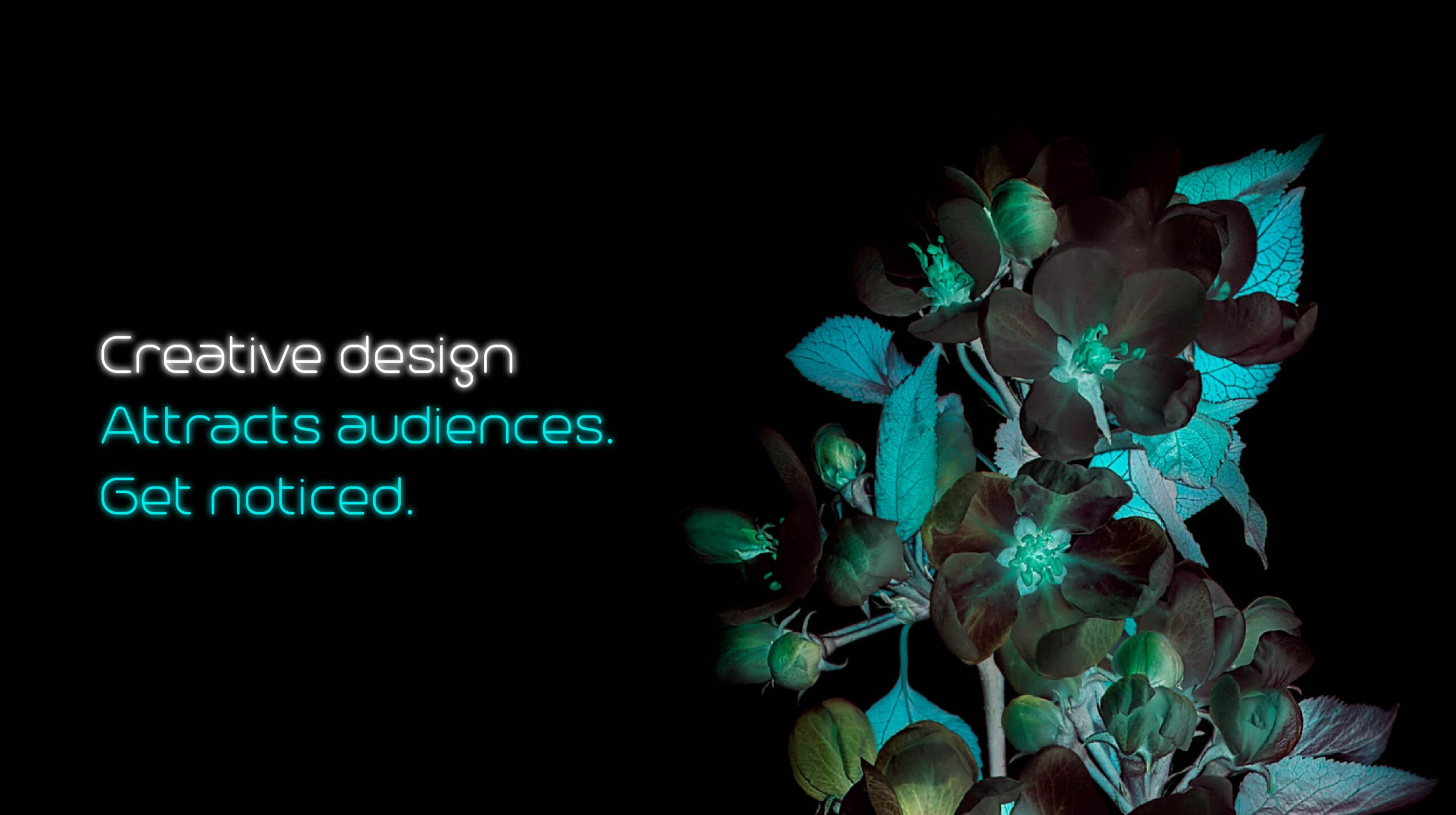 Design – Activate Digital Agency